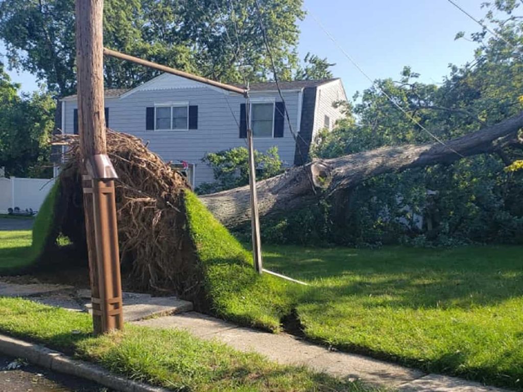 Emergency Storm Clean-Ups - All Green Tree Care